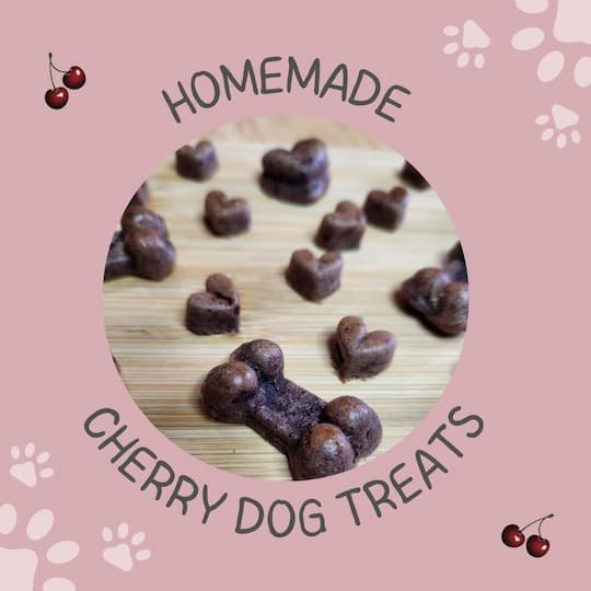 Homemade Dog Treats: Cherry Delight Recipe - All For the Love of Dogs