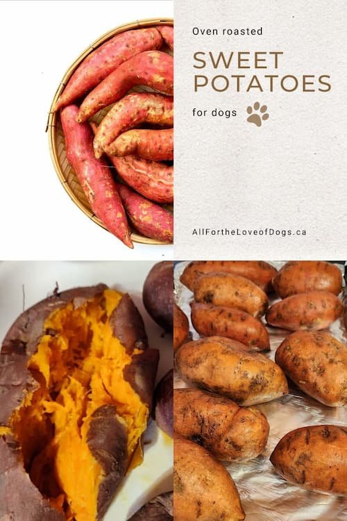 Oven-Roasted Sweet Potatoes for Dogs - All For the Love of Dogs