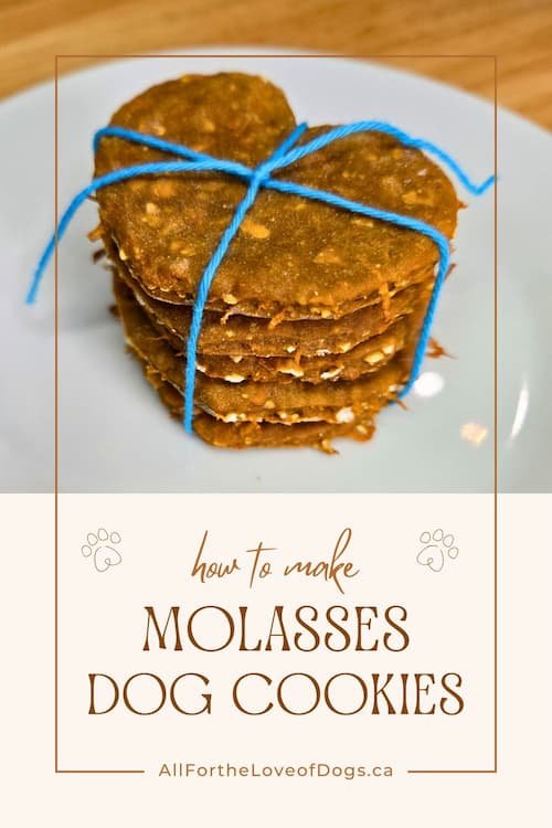 Make Your Own Molasses Dog Treats in Minutes - All For the Love of Dogs