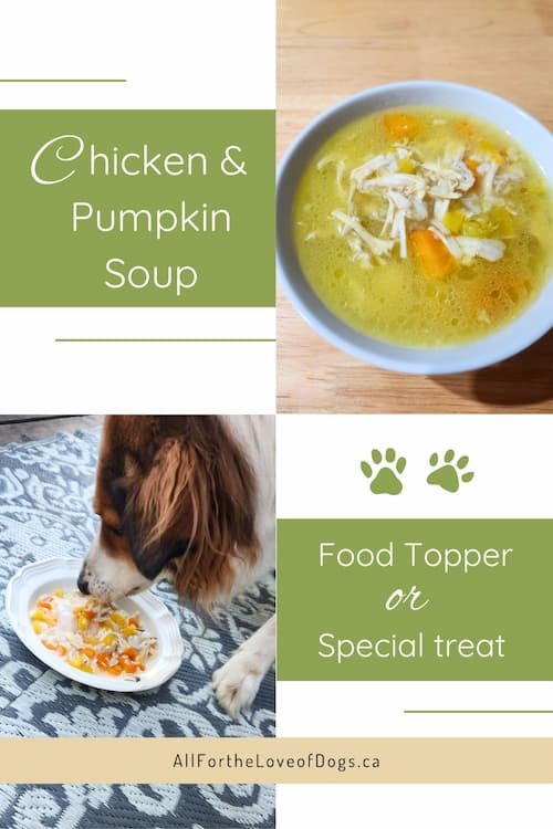 Soup for Dogs: Chicken Pumpkin Goodness - All For the Love of Dogs
